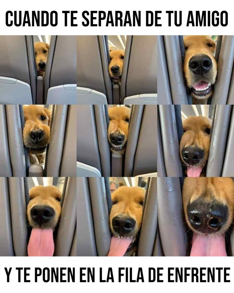 Los mejores memes de viajes – ©Viajes Tuareg